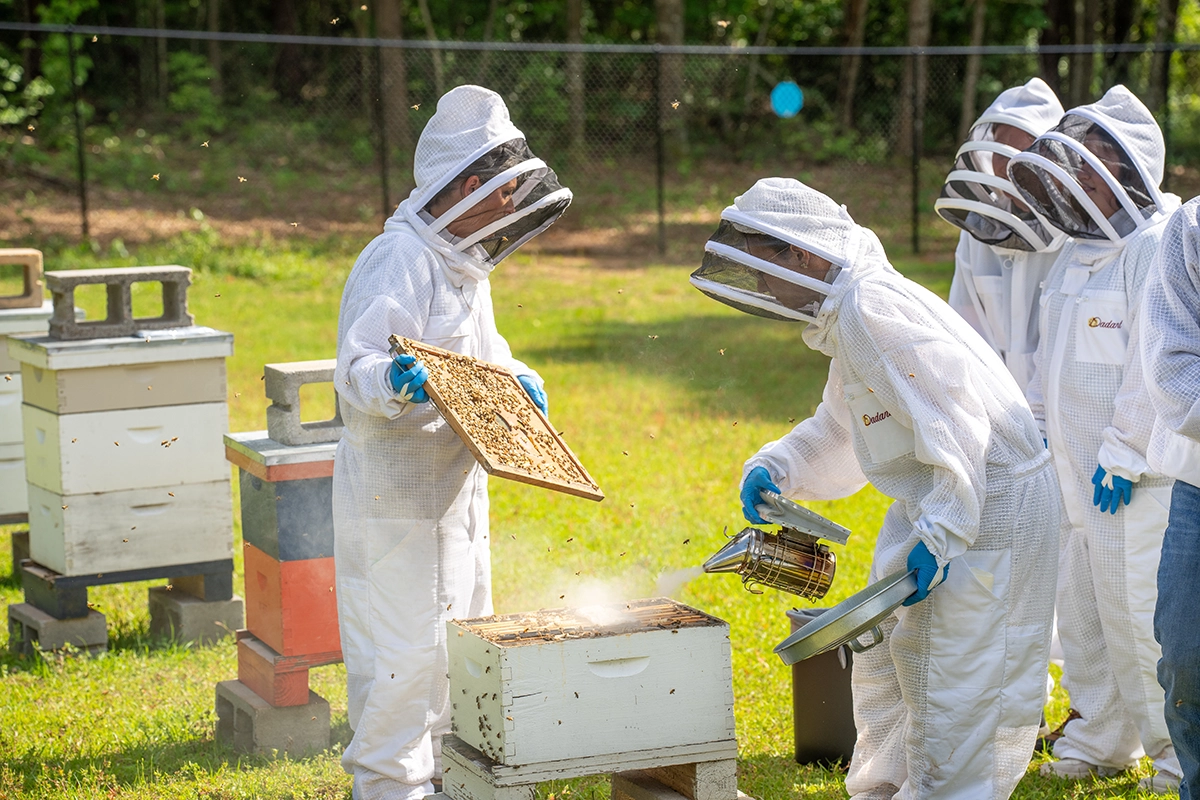 "Apiary" is the new buzz word | Enterprise State Community College